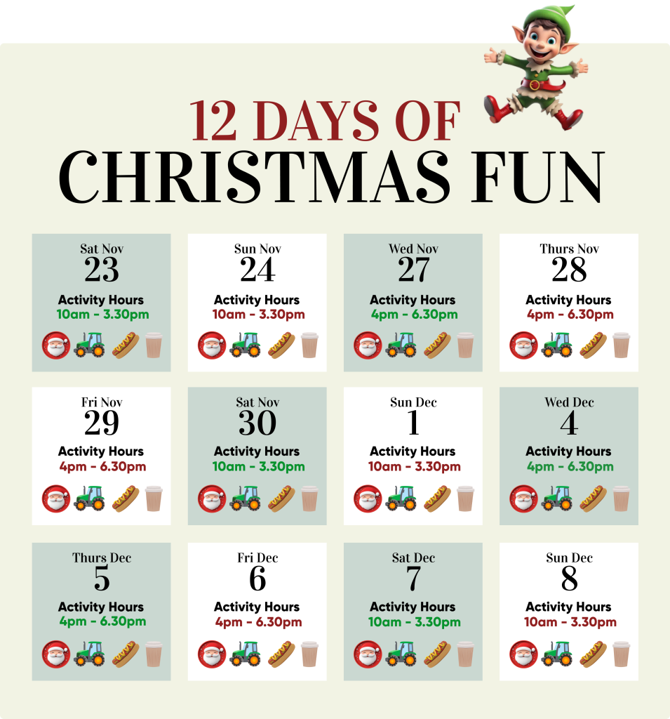 12 Days of Christmas Fun - Christmas Tree Farm
